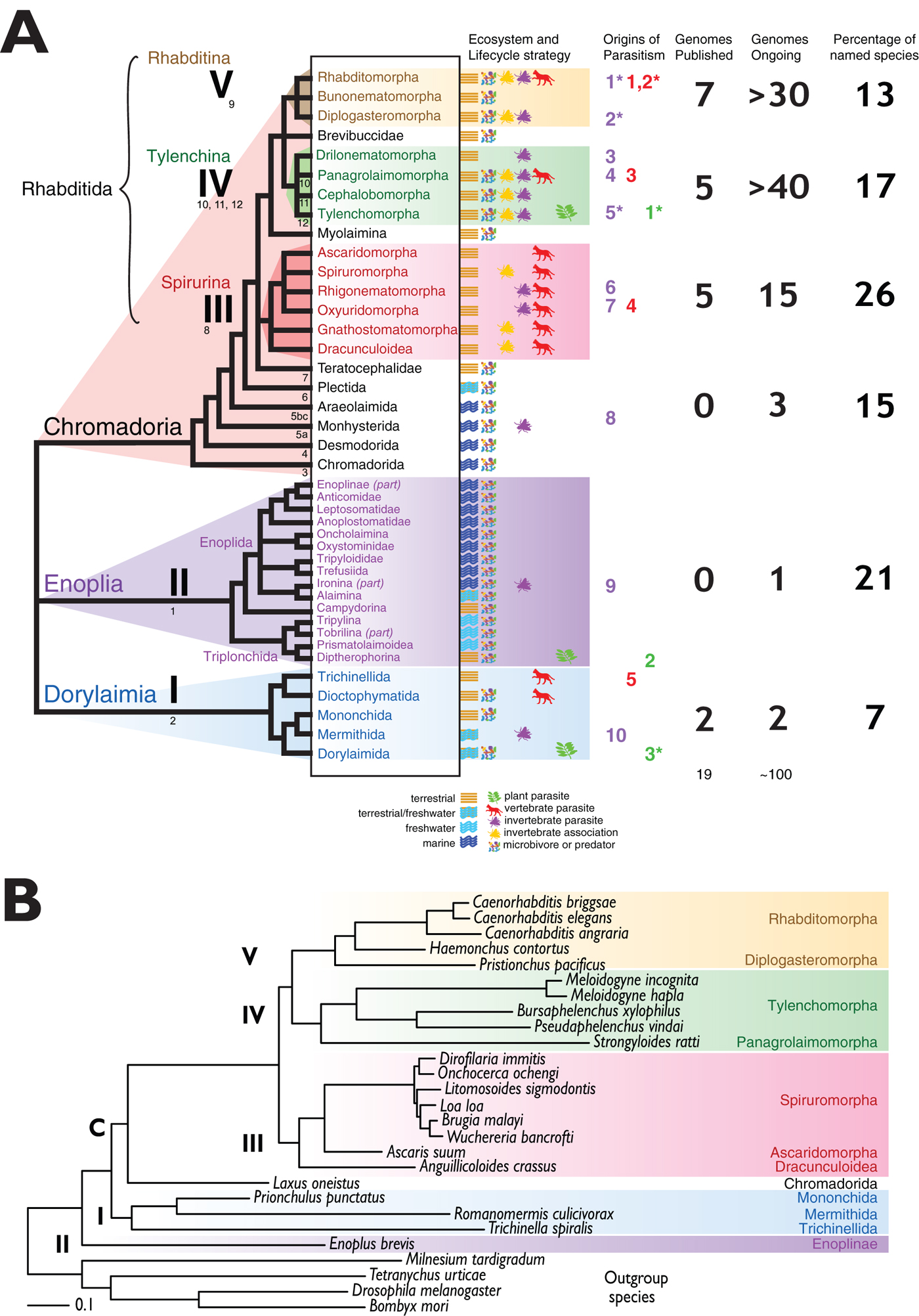 The evolution of parasitism in Nematoda | Parasitology | Cambridge Core