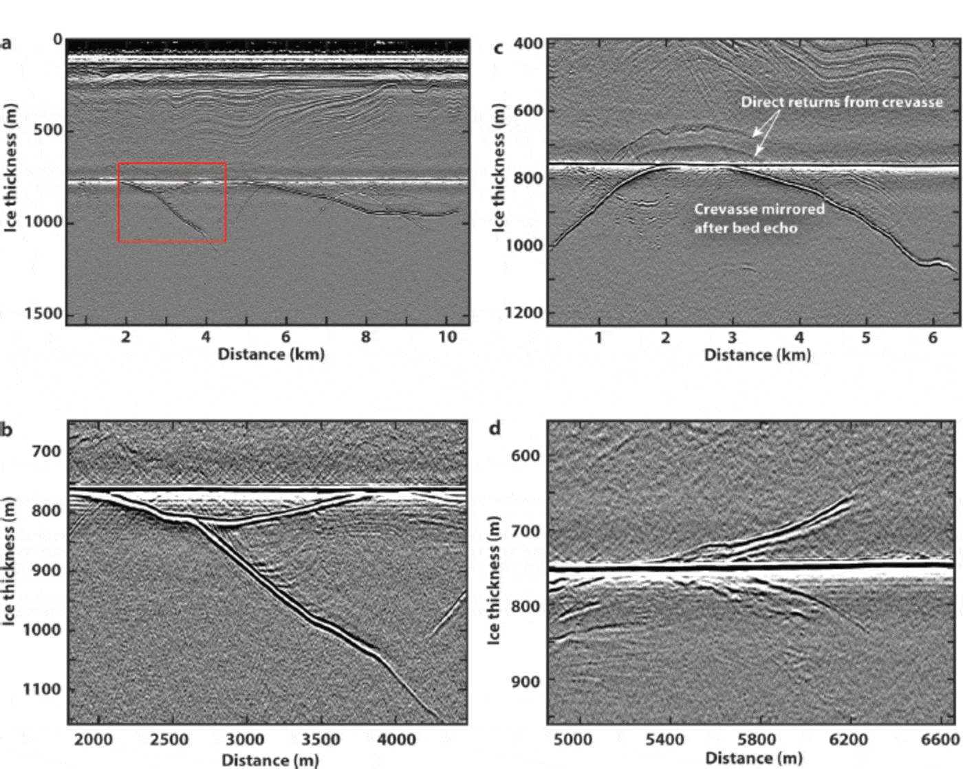 Morphology of basal crevasses at the grounding zone of Whillans Ice ...