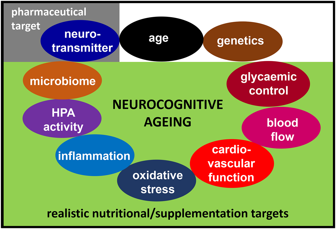 Nutrients for neurocognition in health and disease: measures ...