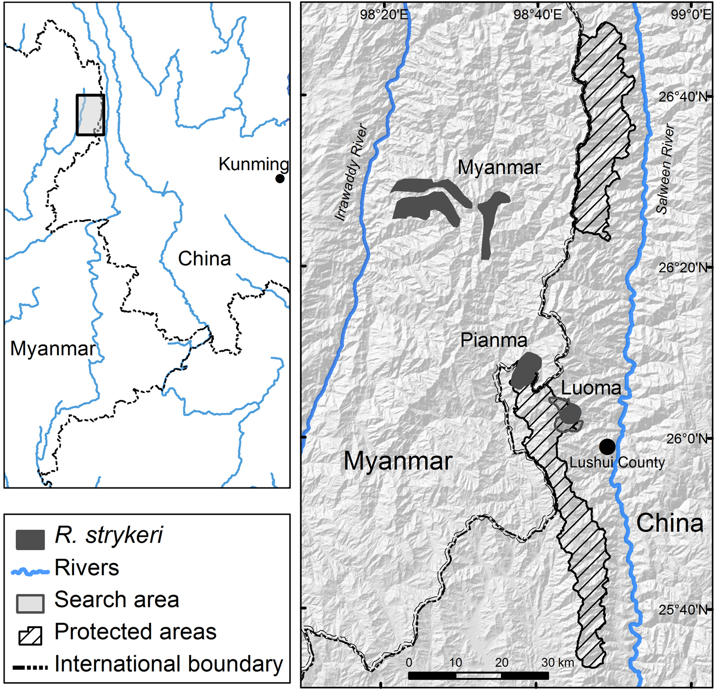 The Critically Endangered Myanmar snub-nosed monkey Rhinopithecus ...