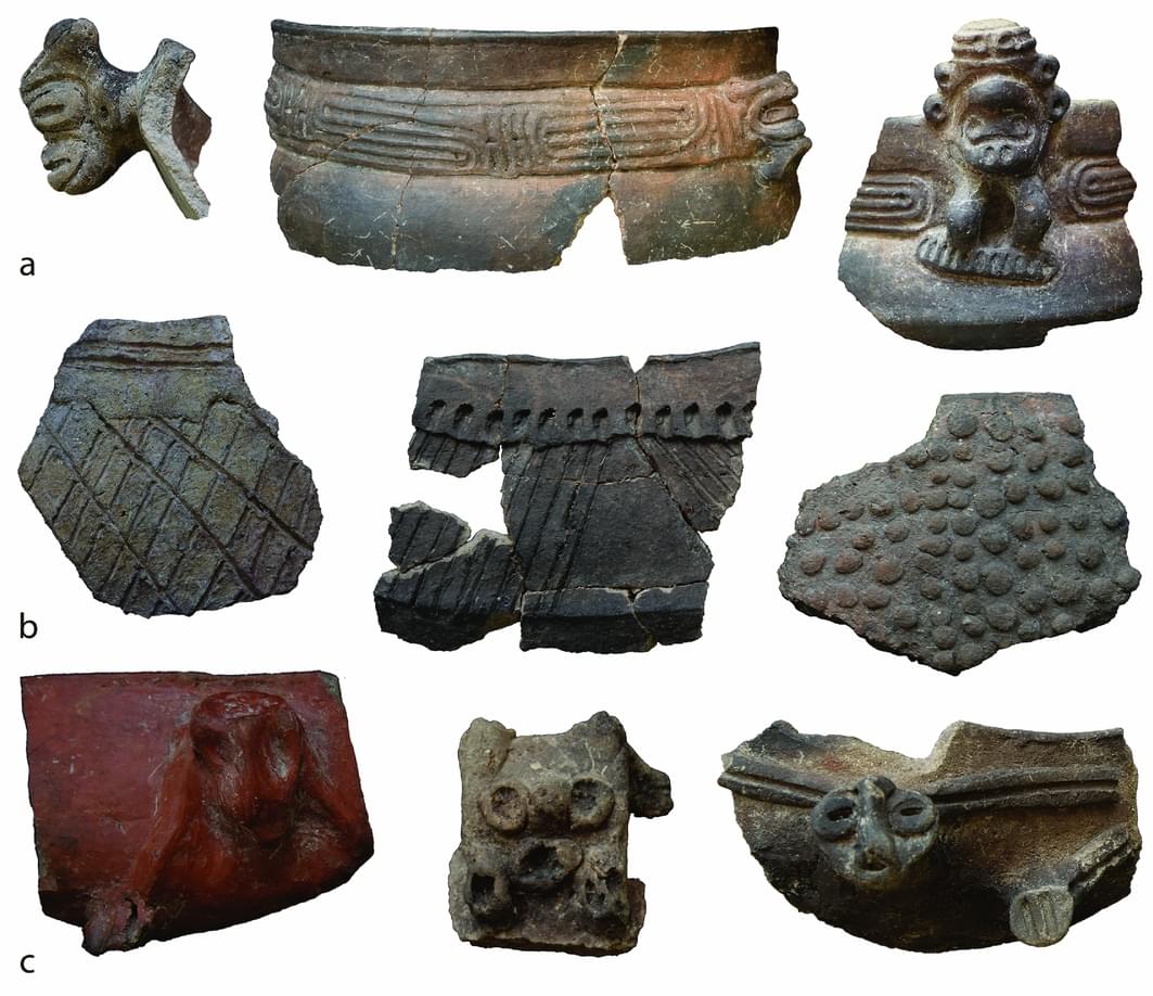 Indigenous Caribbean perspectives: archaeologies and legacies of the ...