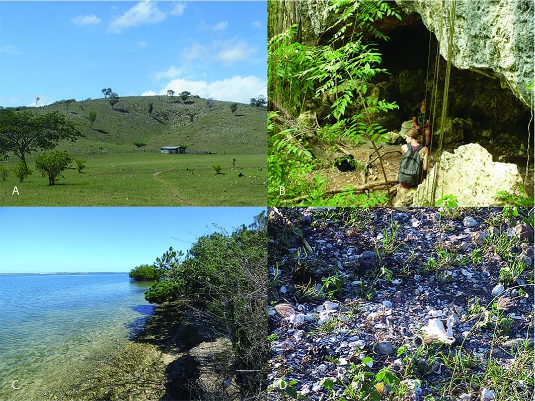Indigenous Caribbean perspectives: archaeologies and legacies of the ...