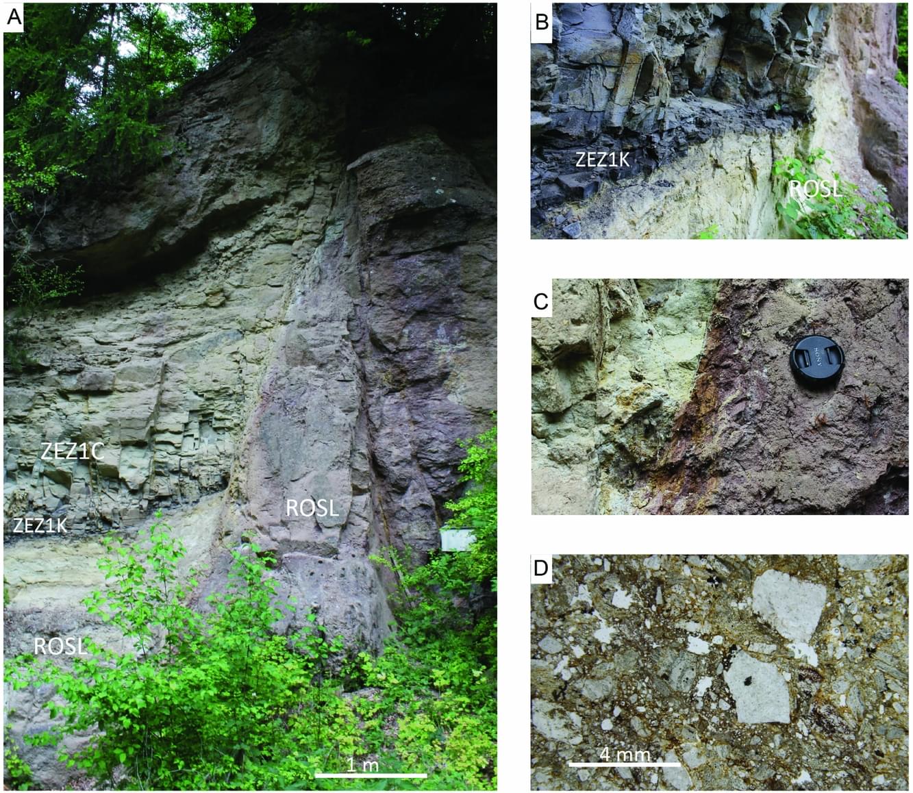 Fault reactivation mechanisms and dynamic rupture modelling of ...