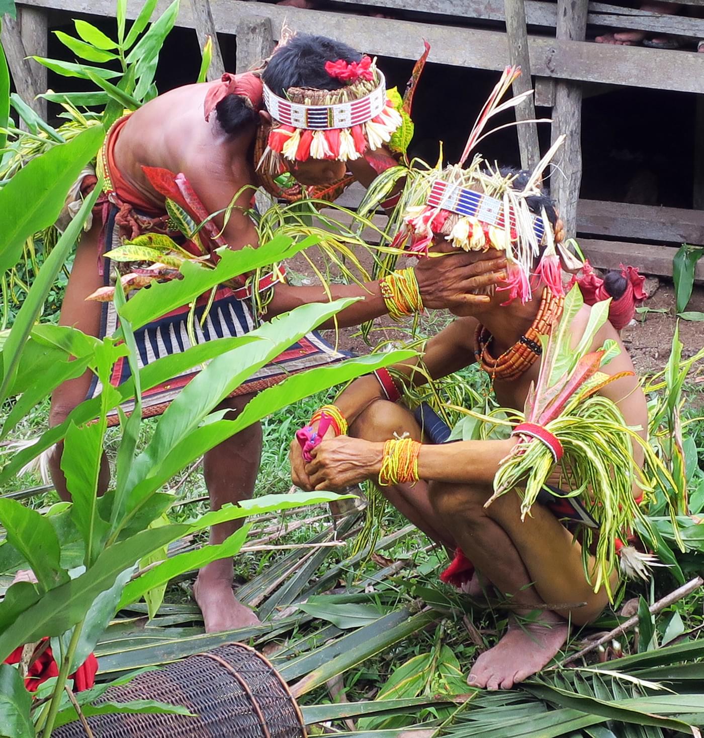 The cultural evolution of shamanism | Behavioral and Brain Sciences ...