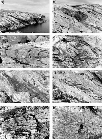 Kinematic and thermal constraints on the reactivation of the Outer ...