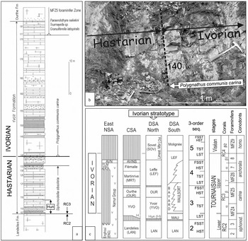 Belgian substages as a basis for an international chronostratigraphic ...