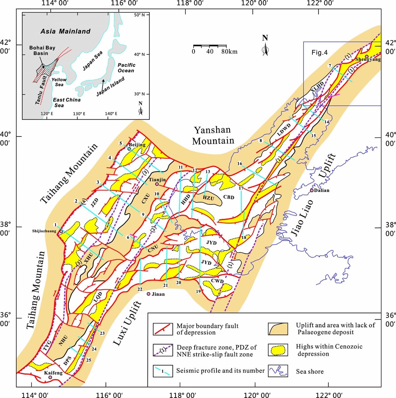 Cenozoic tectonic model of the Bohai Bay Basin in China | Geological ...