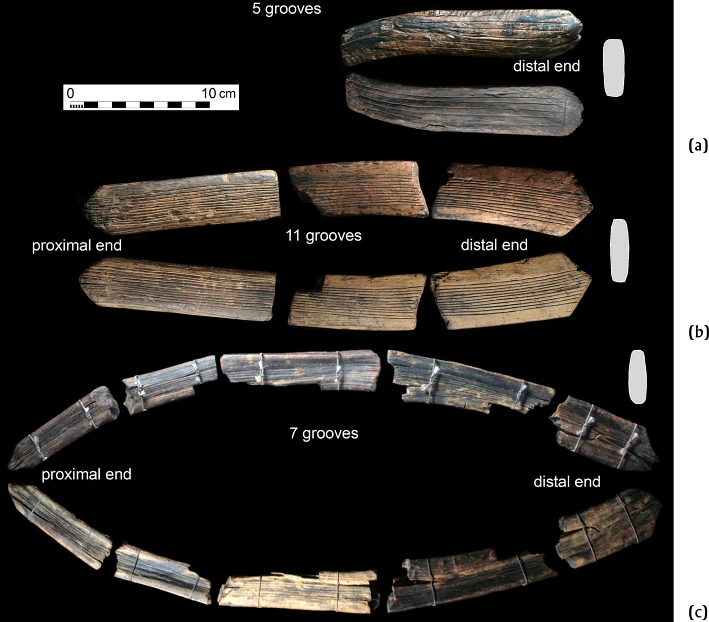 MESOAMERICAN FLAT CURVED STICKS: INNOVATIVE “TOLTEC” SHORT SWORD ...