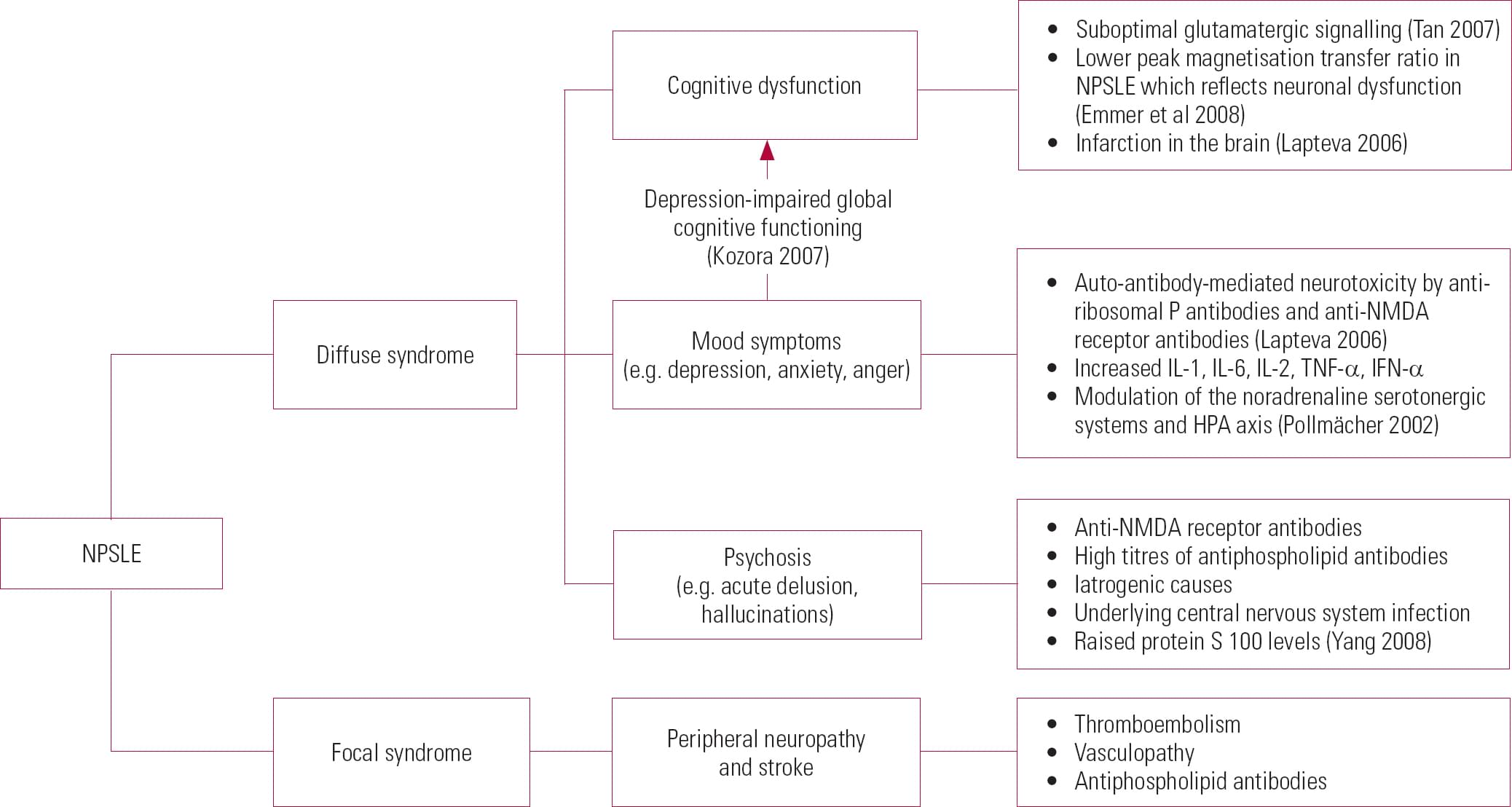 Clinical implications of neuropsychiatric systemic lupus erythematosus ...