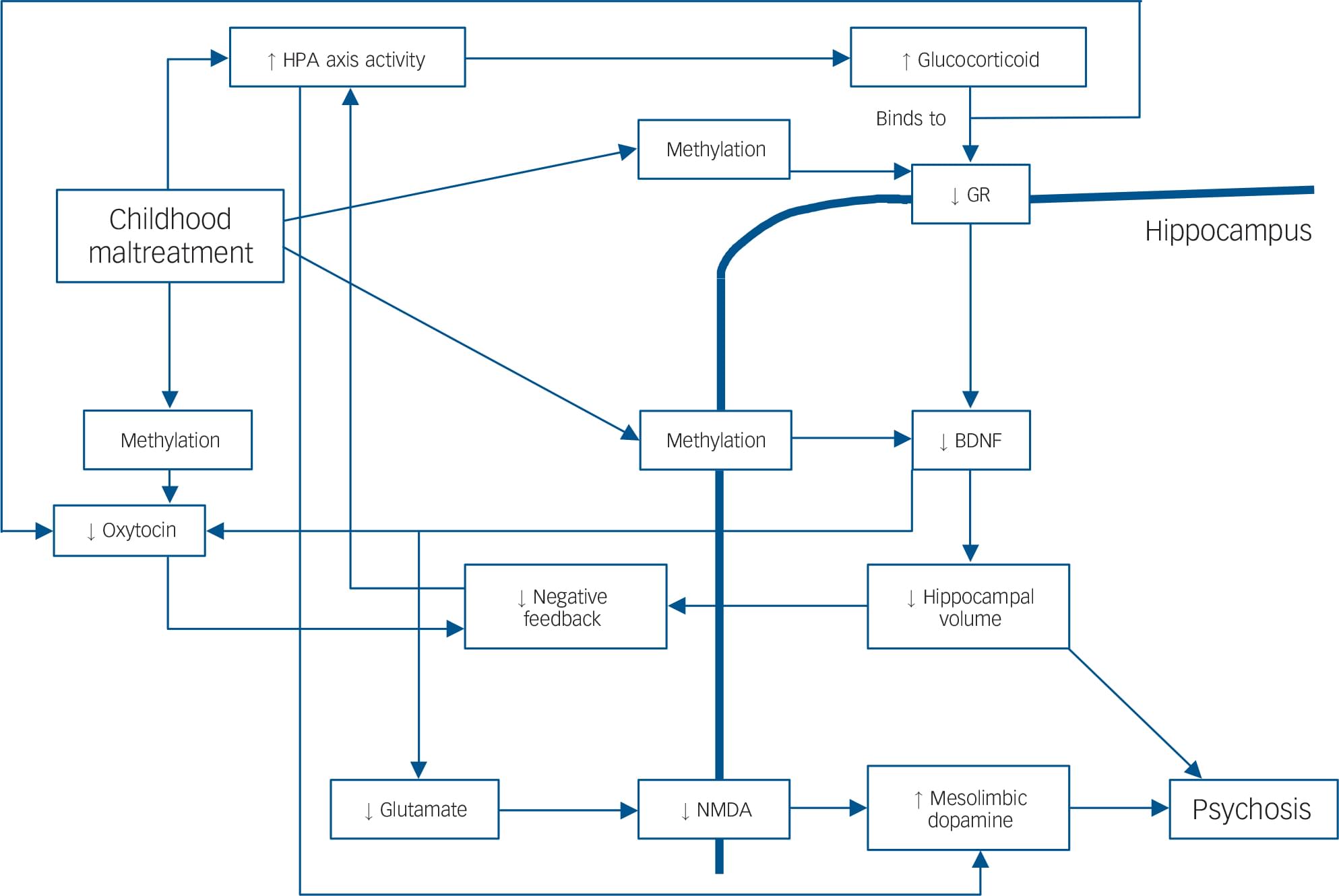 An integrated biopsychosocial model of childhood maltreatmentand ...