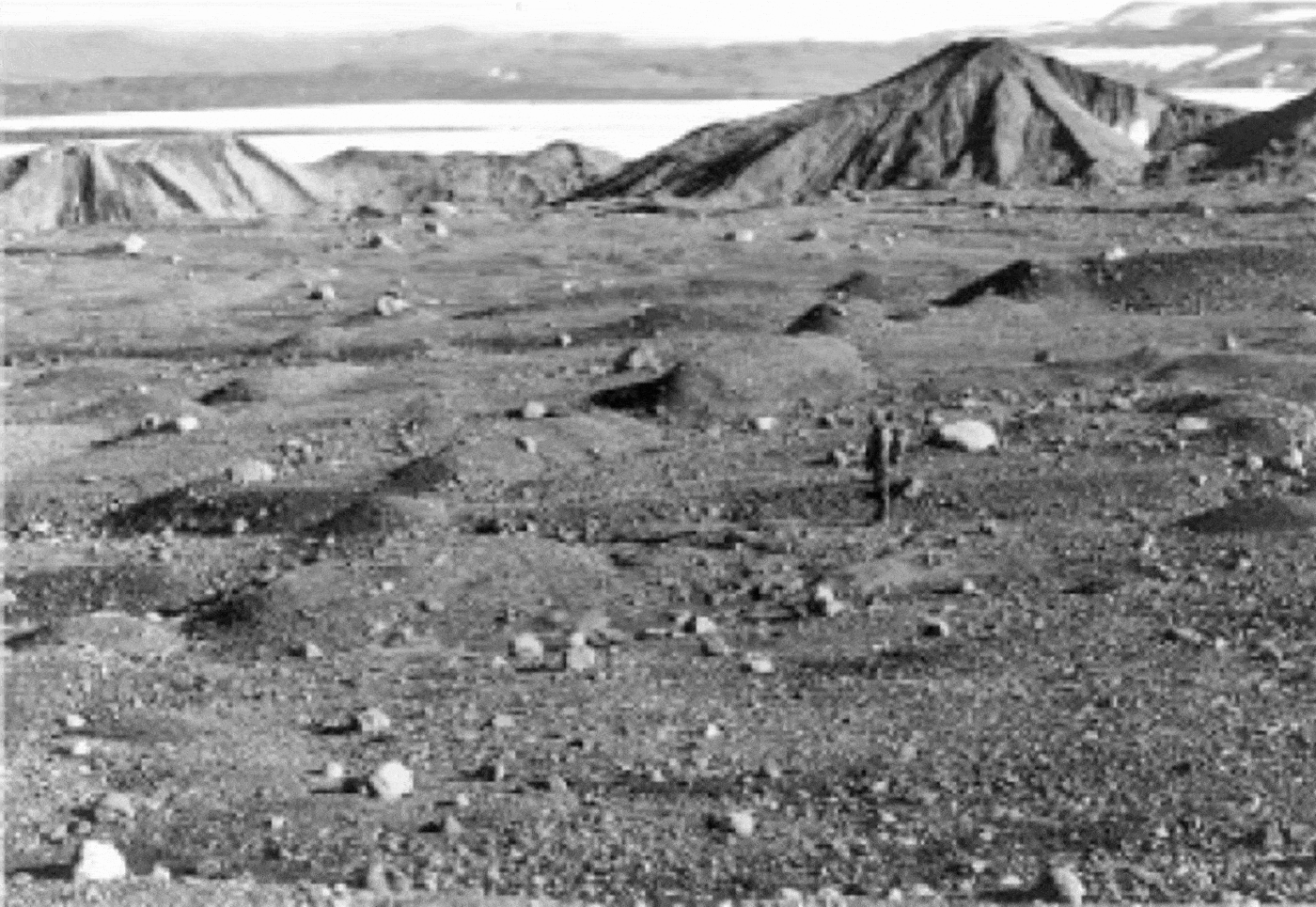 Geomorphology and sedimentology of surging glaciers: a land-systems ...