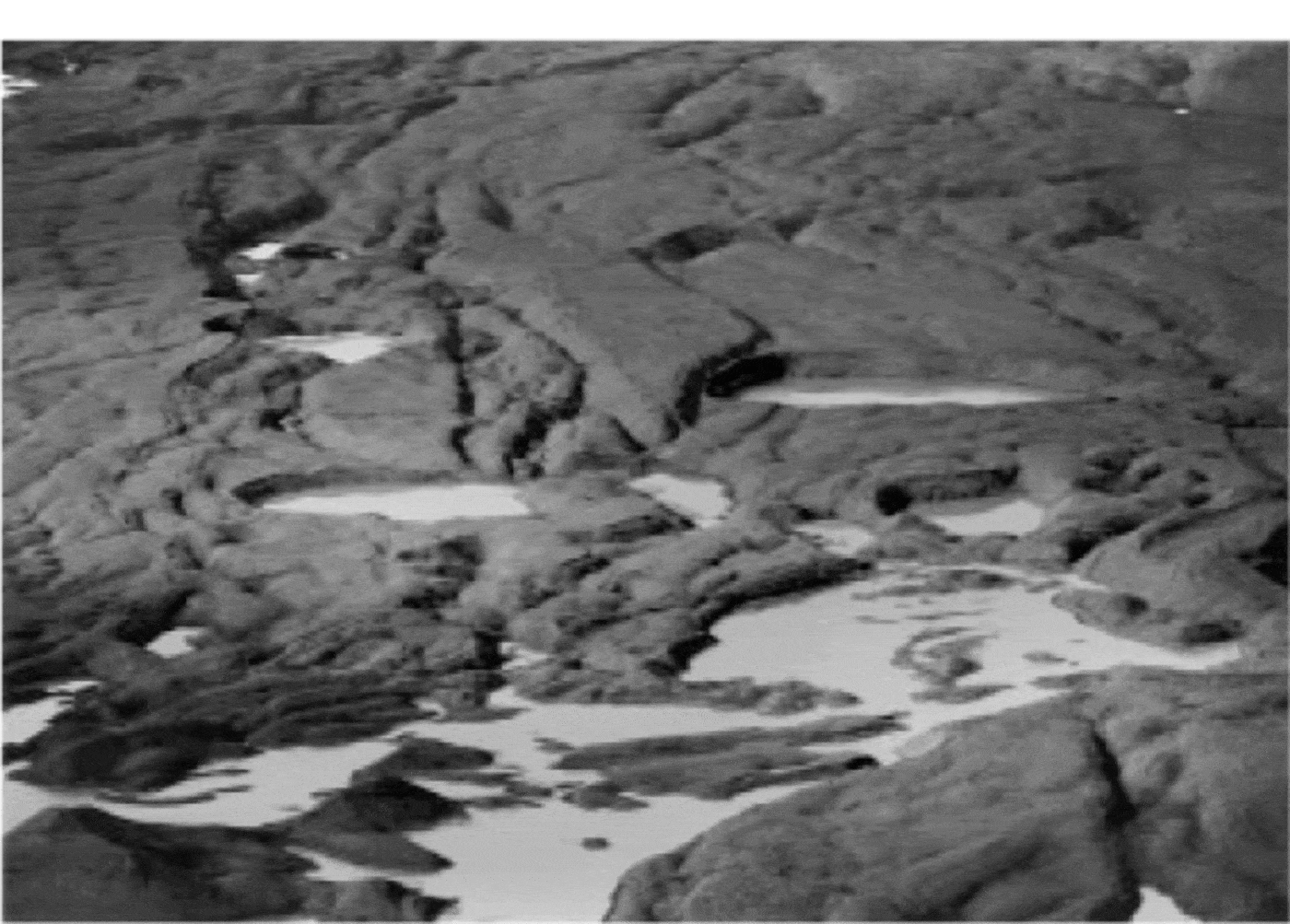 Geomorphology and sedimentology of surging glaciers: a land-systems ...
