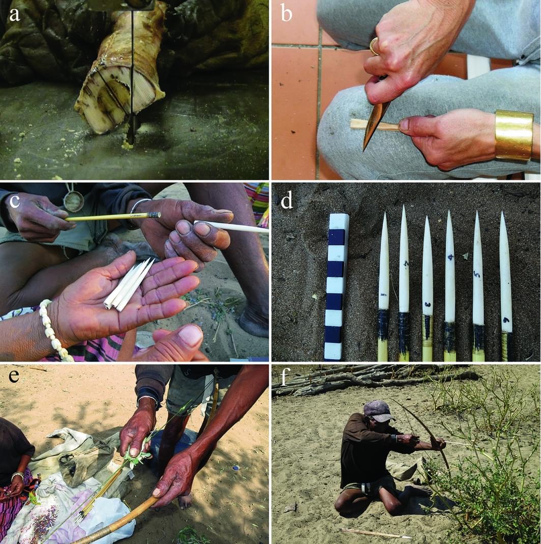 The antiquity of bow-and-arrow technology: evidence from Middle Stone ...