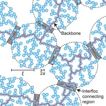 Structure of capillary suspensions and their versatile applications in ...