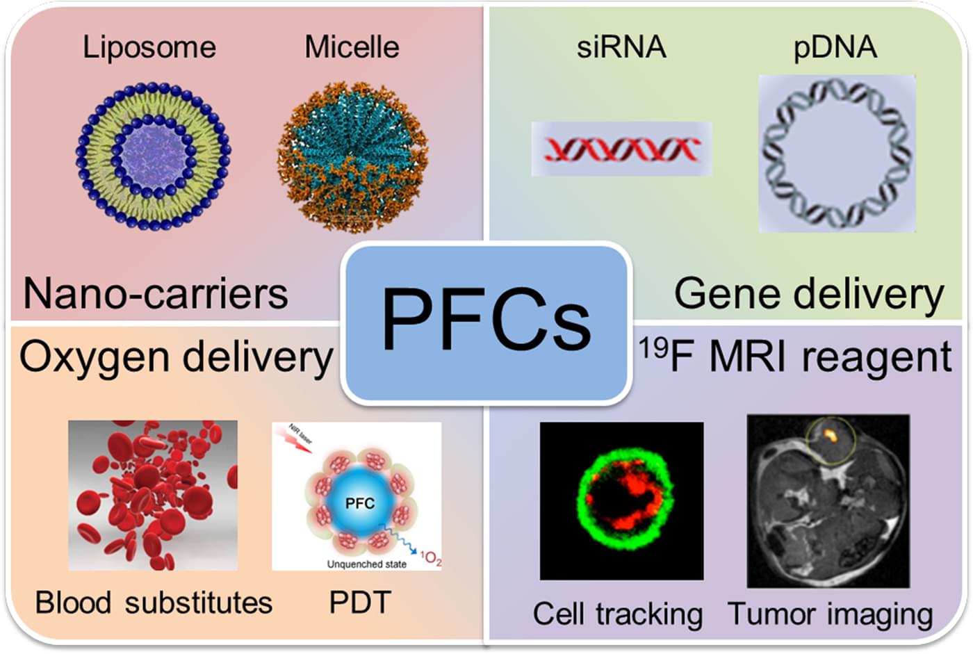 Perfluorocarbon-based nanomedicine: emerging strategy for diagnosis and treatment of diseases ...
