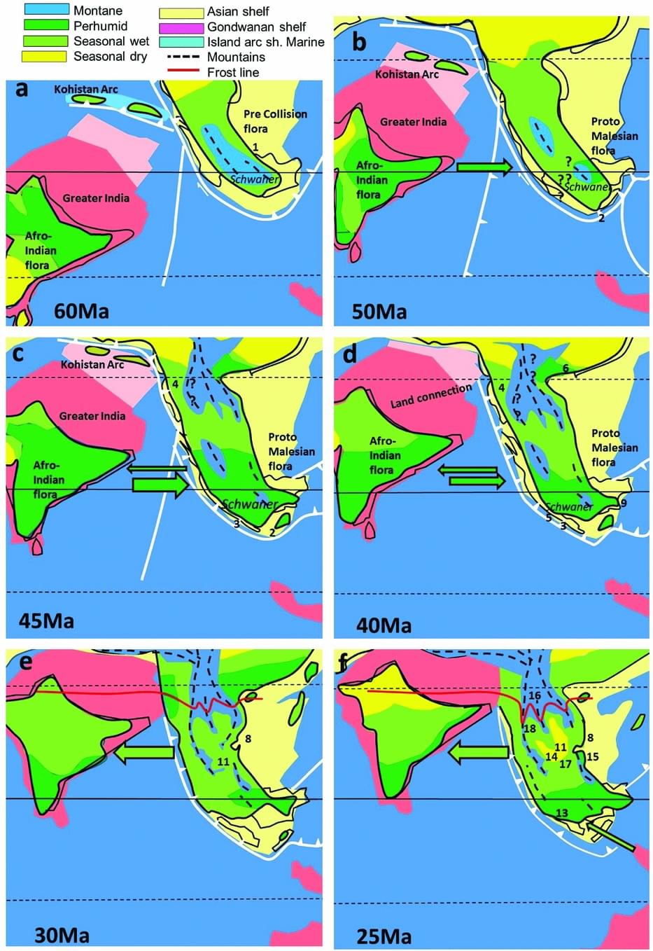 Assembly and division of the South and South-East Asian flora in ...