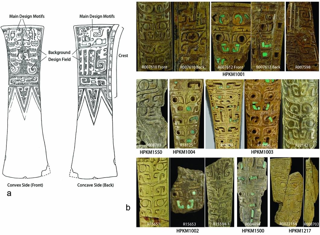 The Anyang Xibeigang Shang royal tombs revisited: a social ...