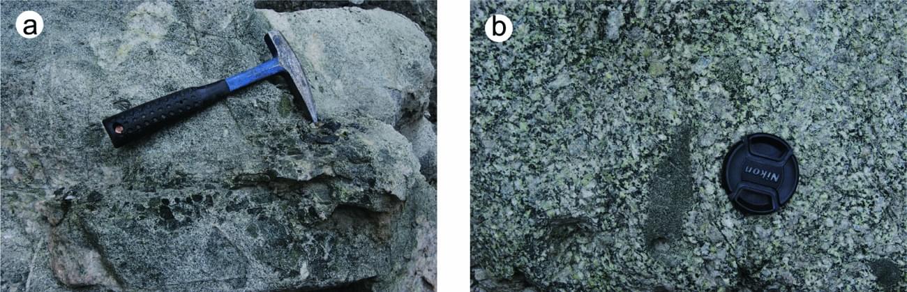 Geochemistry and petrogenesis of the early Palaeozoic appinite-granite ...