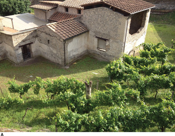 The Archaeology of Gardens in the Roman Villa (Chapter 3) - Gardens of ...