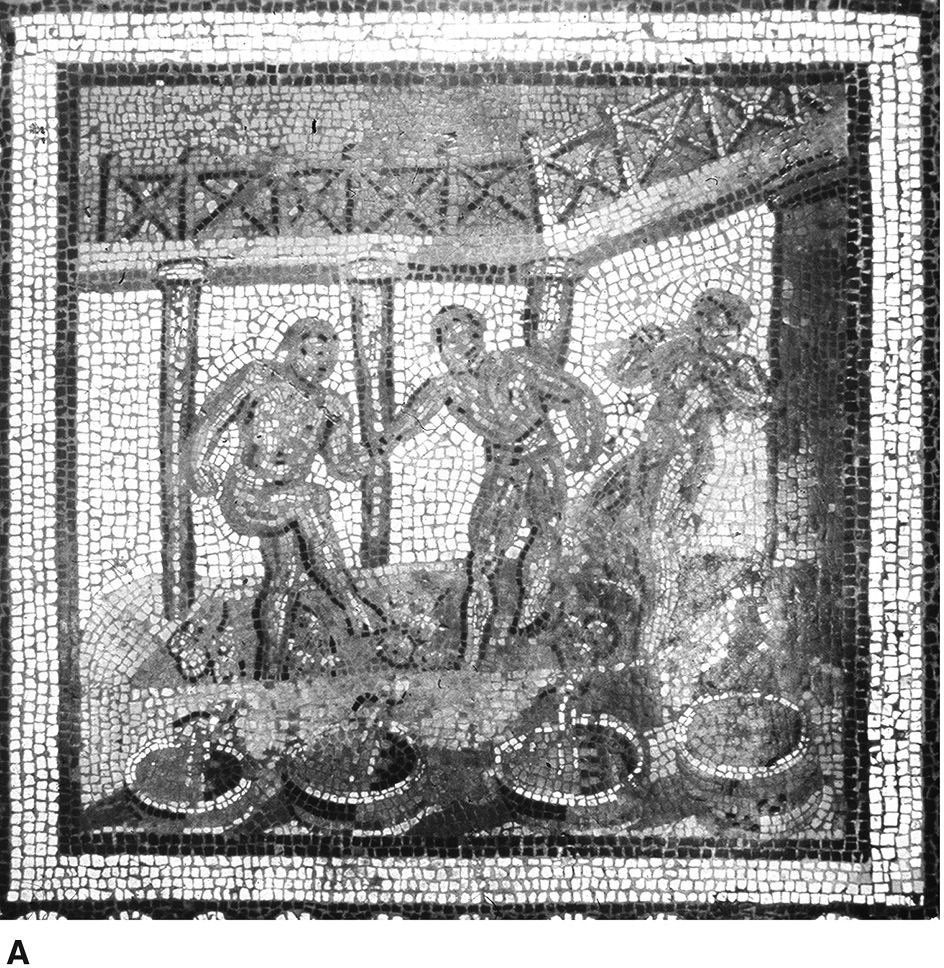 Produce Gardens (Chapter 4) - Gardens of the Roman Empire