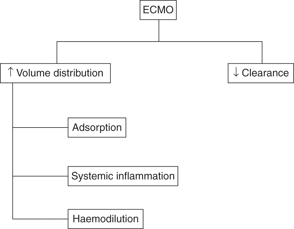 Specifics of intensive care management for the patient on ECMO (Chapter ...