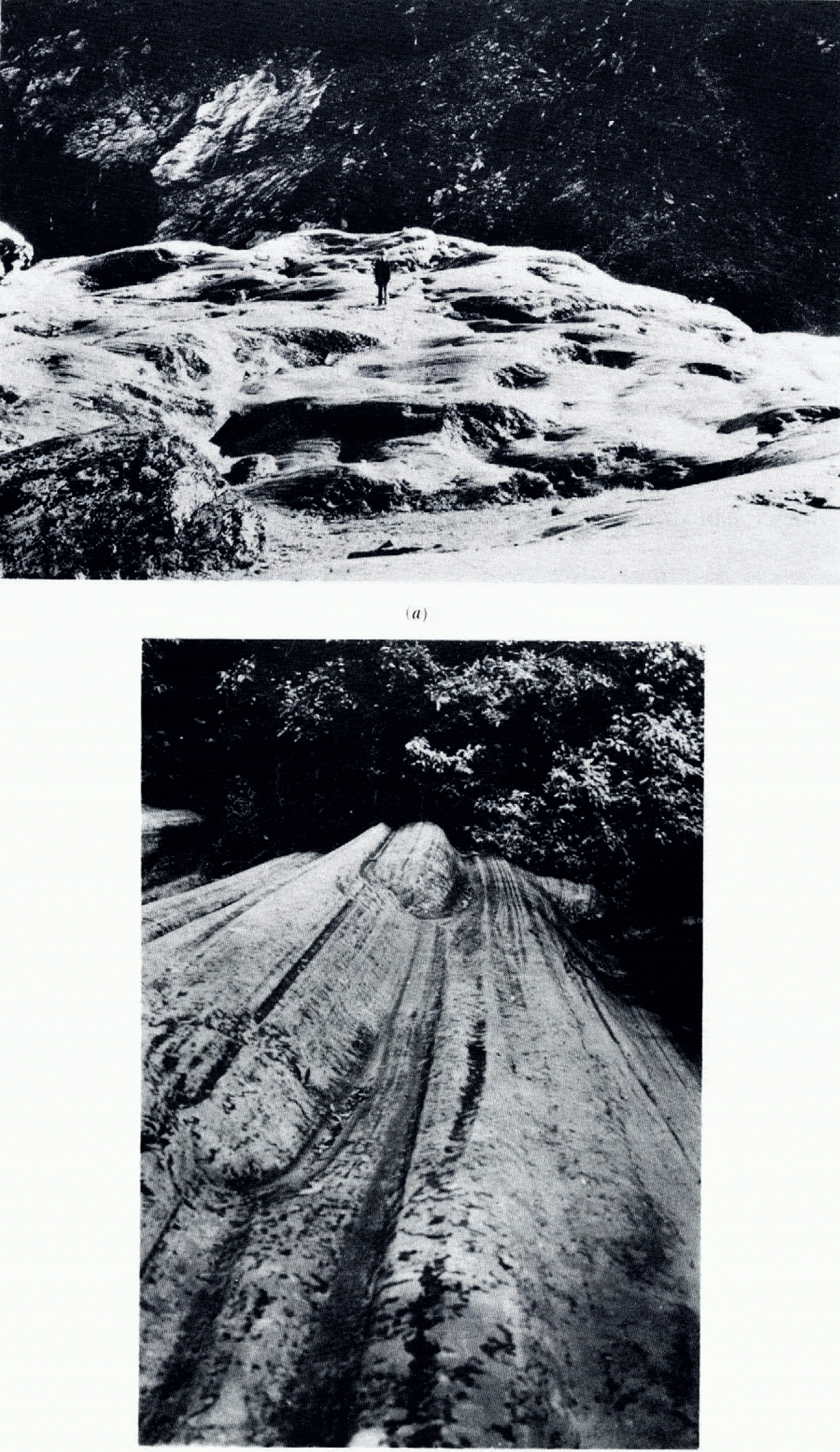 Processes of Glacier Erosion on Different Substrata | Journal of ...