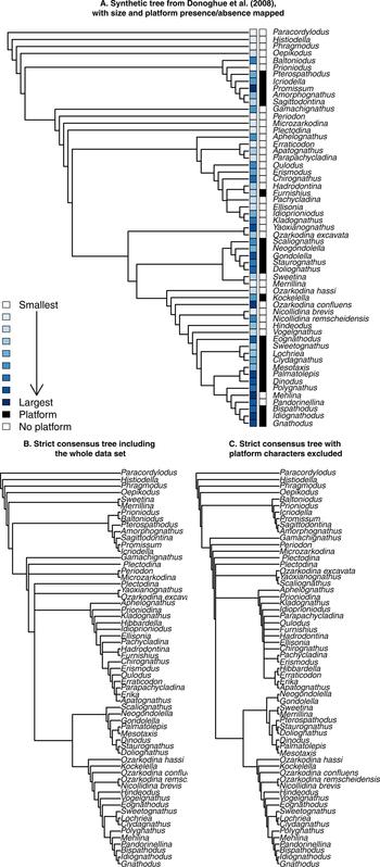 Conodont size, trophic level, and the evolution of platform elements ...