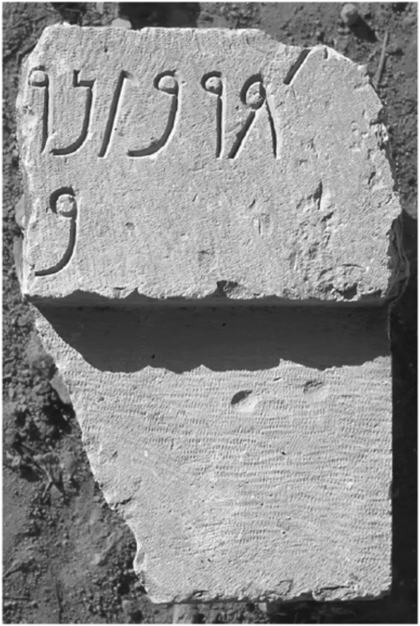 Two Punic inscriptions from Roman Tripolitania | Libyan Studies ...
