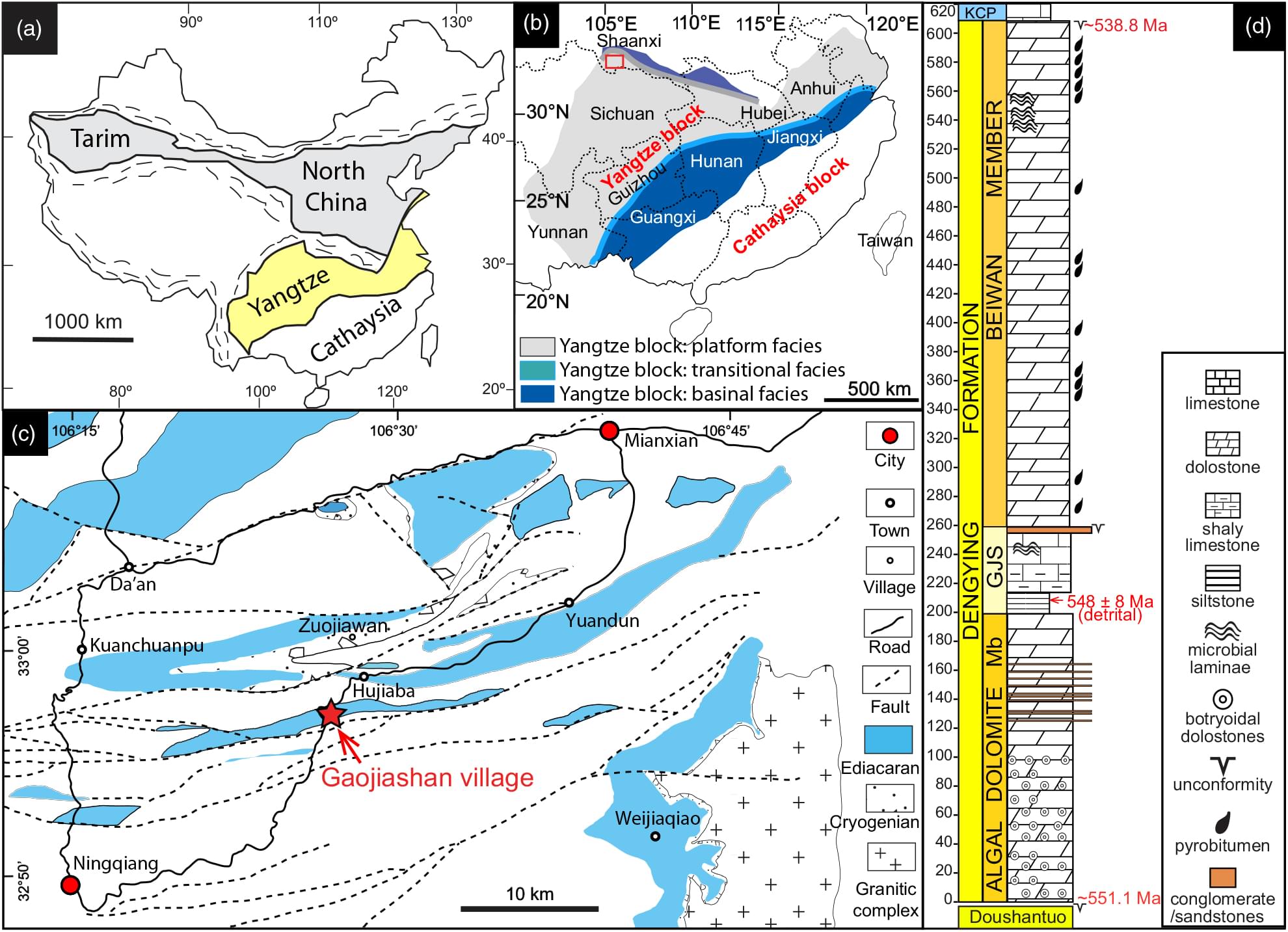 Sedimentology and chemostratigraphy of the terminal Ediacaran Dengying ...
