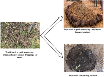 NGO grassroots participatory approaches to promoting sustainable ...