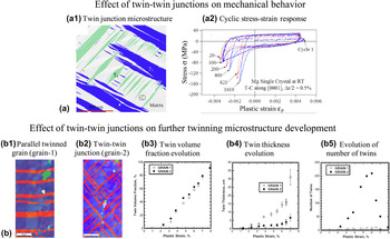Local microstructure and micromechanical stress evolution during ...