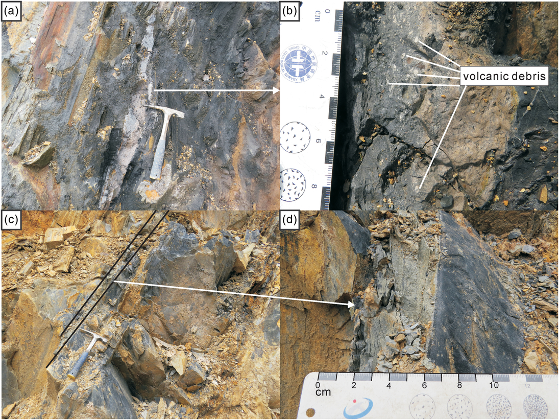 Nature and origin of the volcanic ash beds near the Permian–Triassic ...