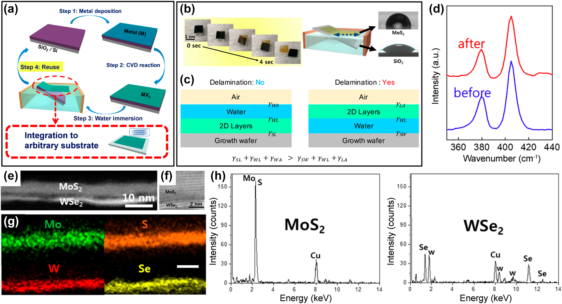 Manufacturing strategies for wafer-scale two-dimensional transition ...