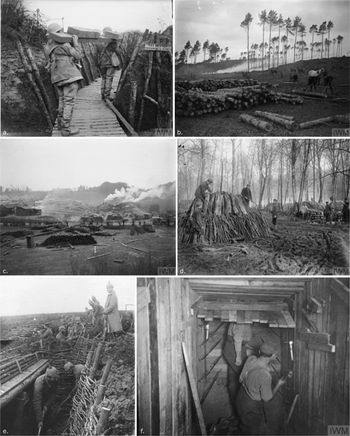 Timber for the trenches: a new perspective on archaeological wood from ...