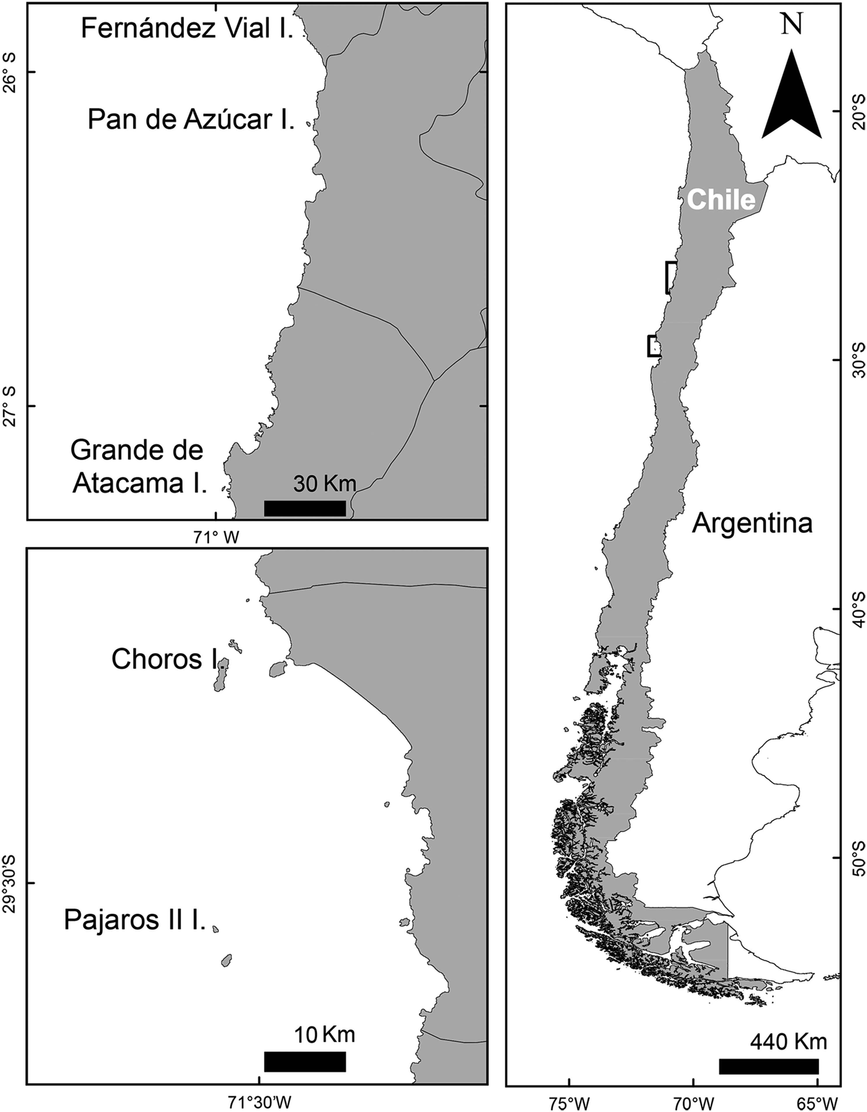 Breeding abundance and population trend of the Peruvian Diving-petrel ...