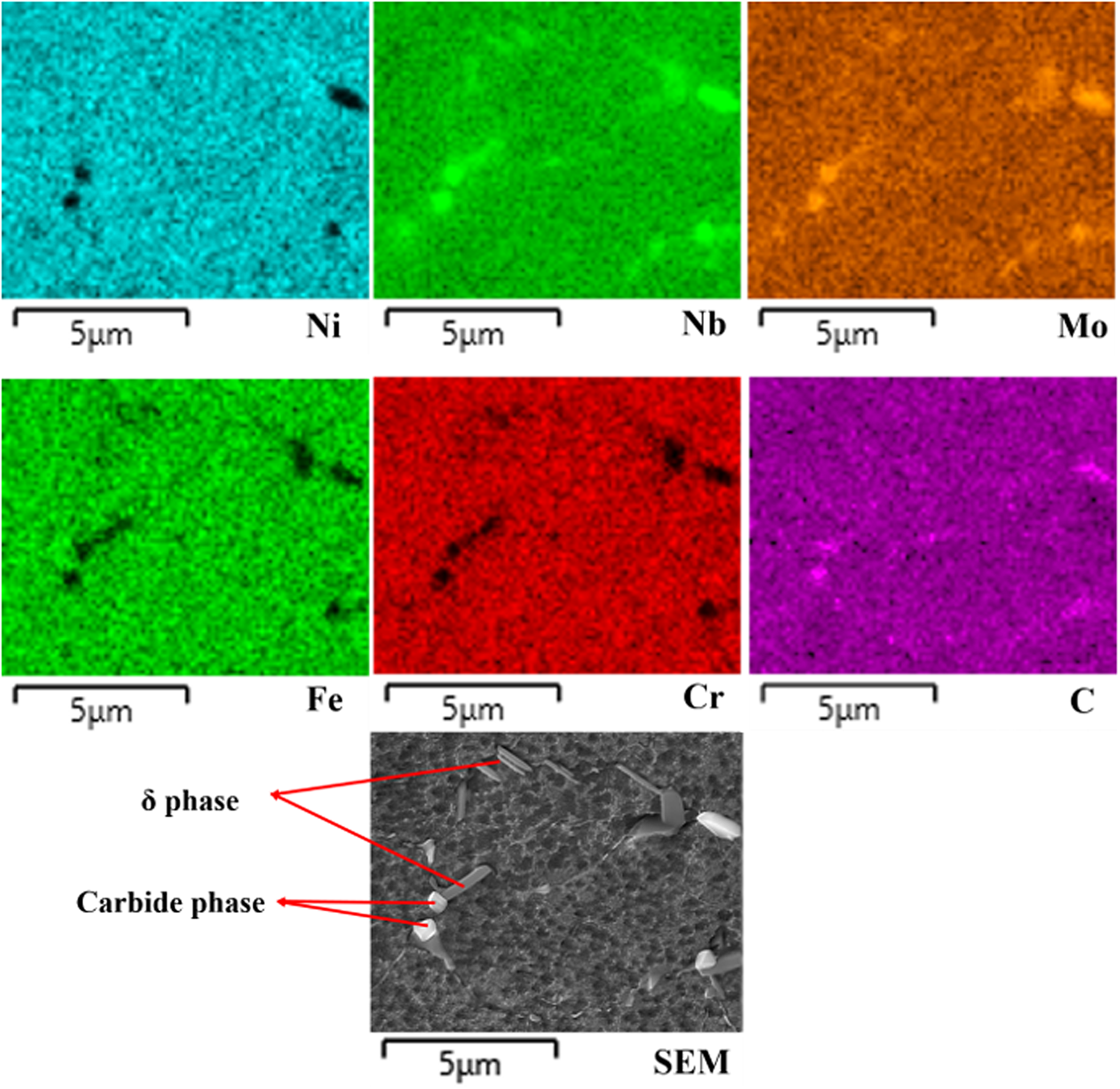 Effect of heat treatment on the modification of microstructure of ...