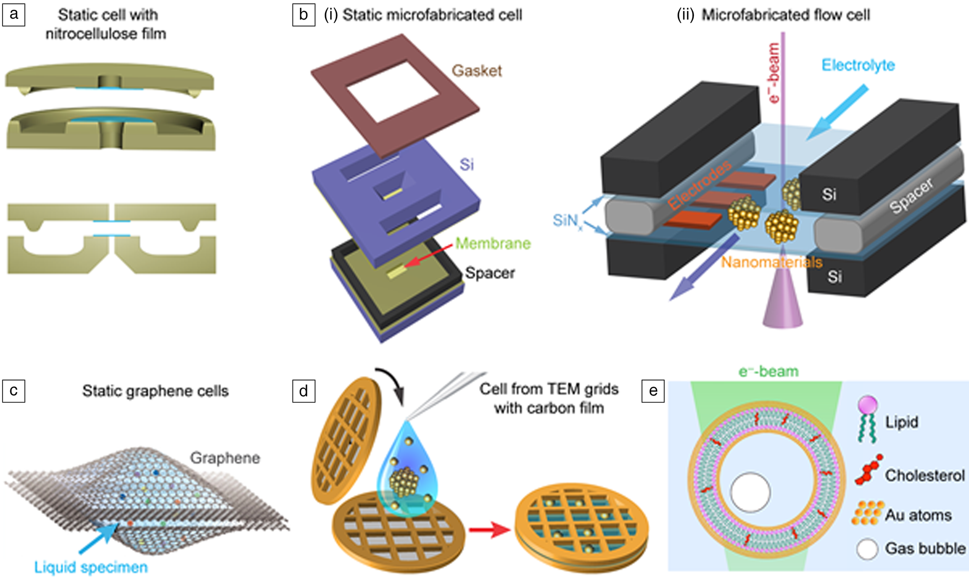 Liquid phase transmission electron microscopy for imaging of nanoscale ...