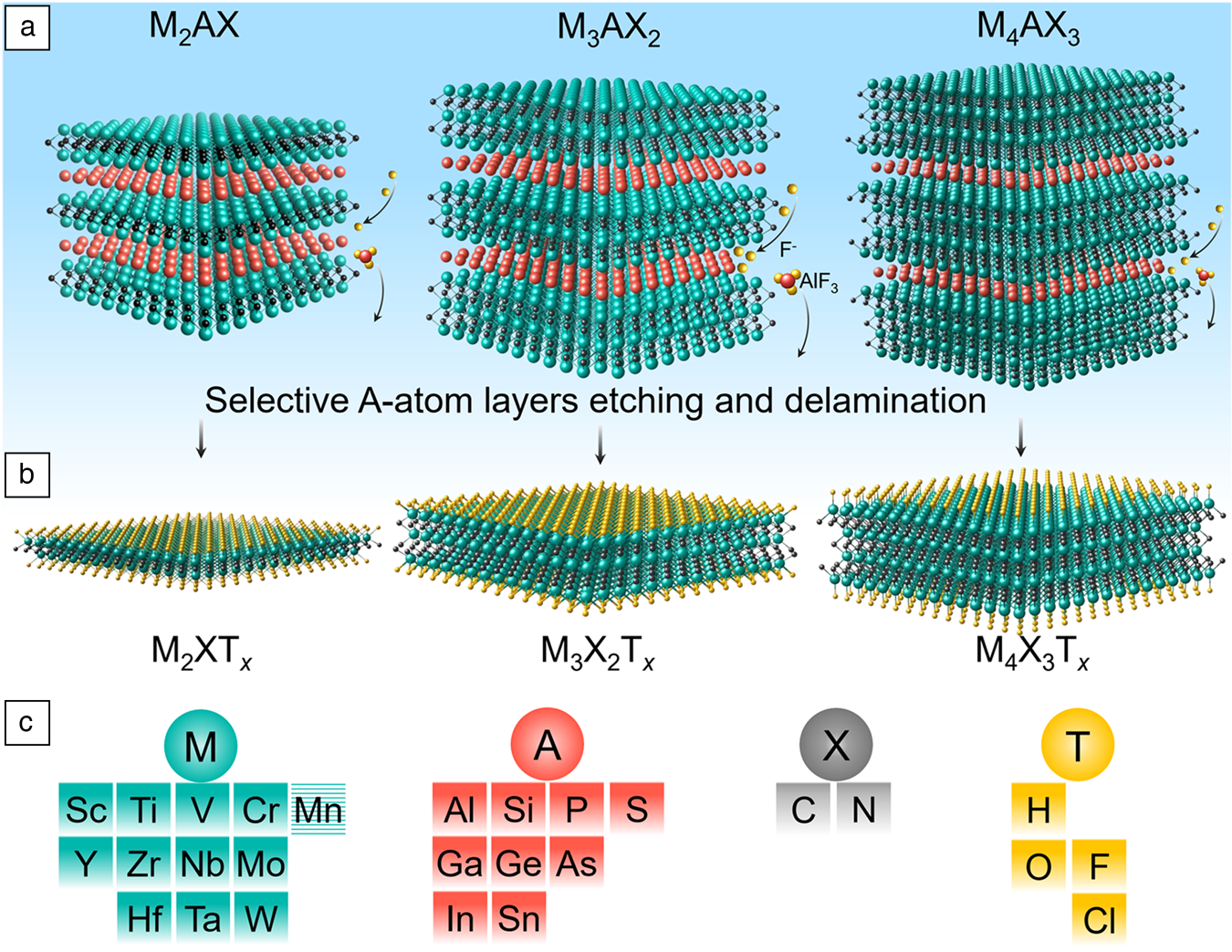 Double transition-metal MXenes: Atomistic design of two-dimensional ...