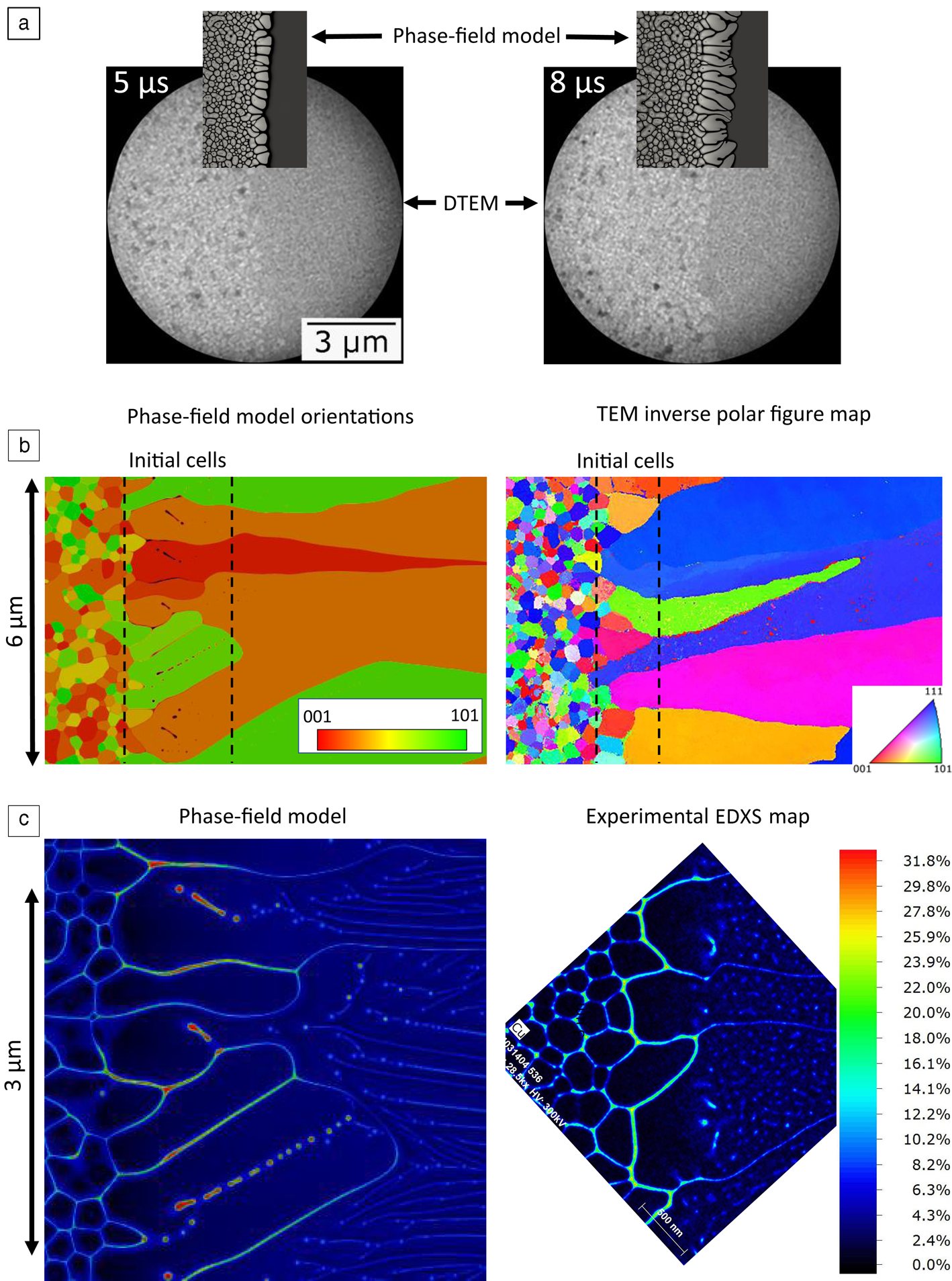 Solute trapping in rapid solidification | MRS Bulletin | Cambridge Core