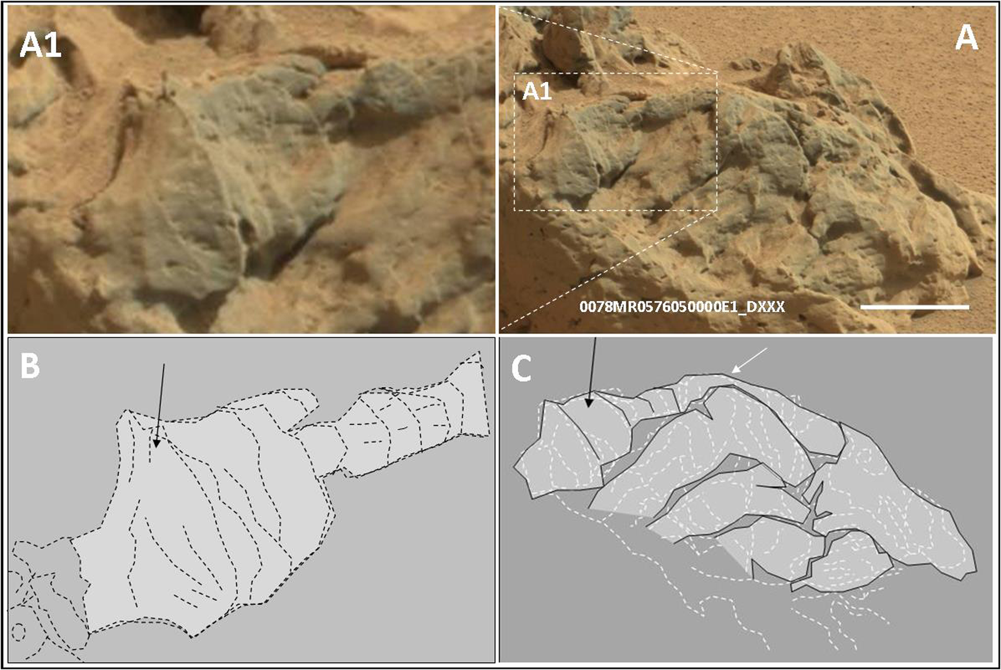 Why should geological criteria used on Earth not be valid also for Mars ...