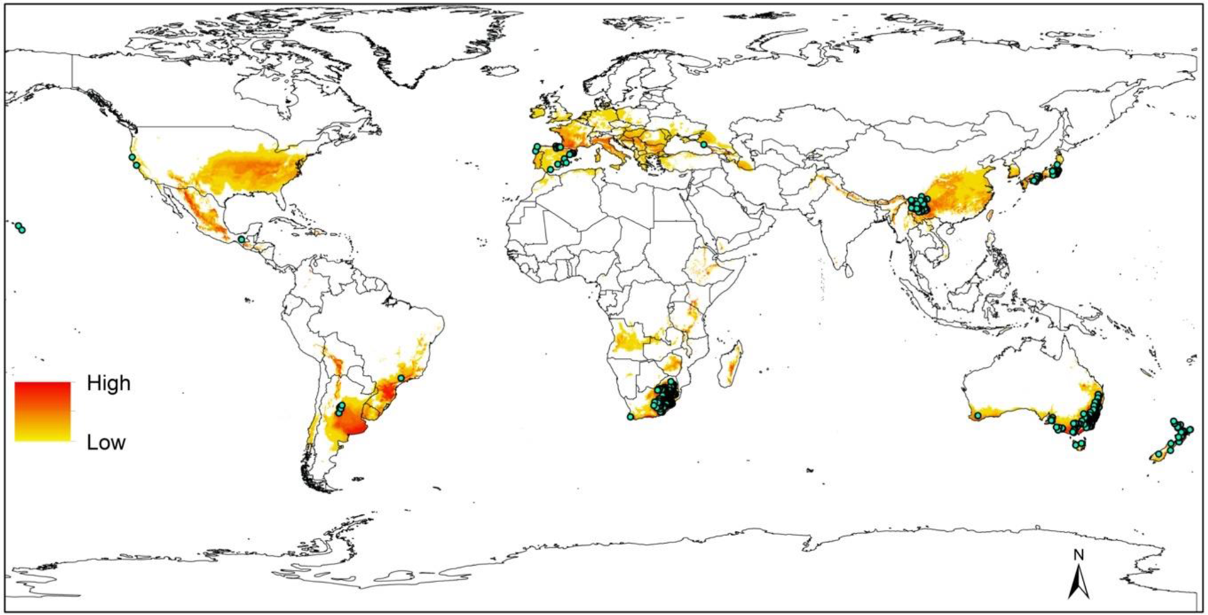 Biology of Invasive Plants 1. Pyracantha angustifolia (Franch.) C.K ...