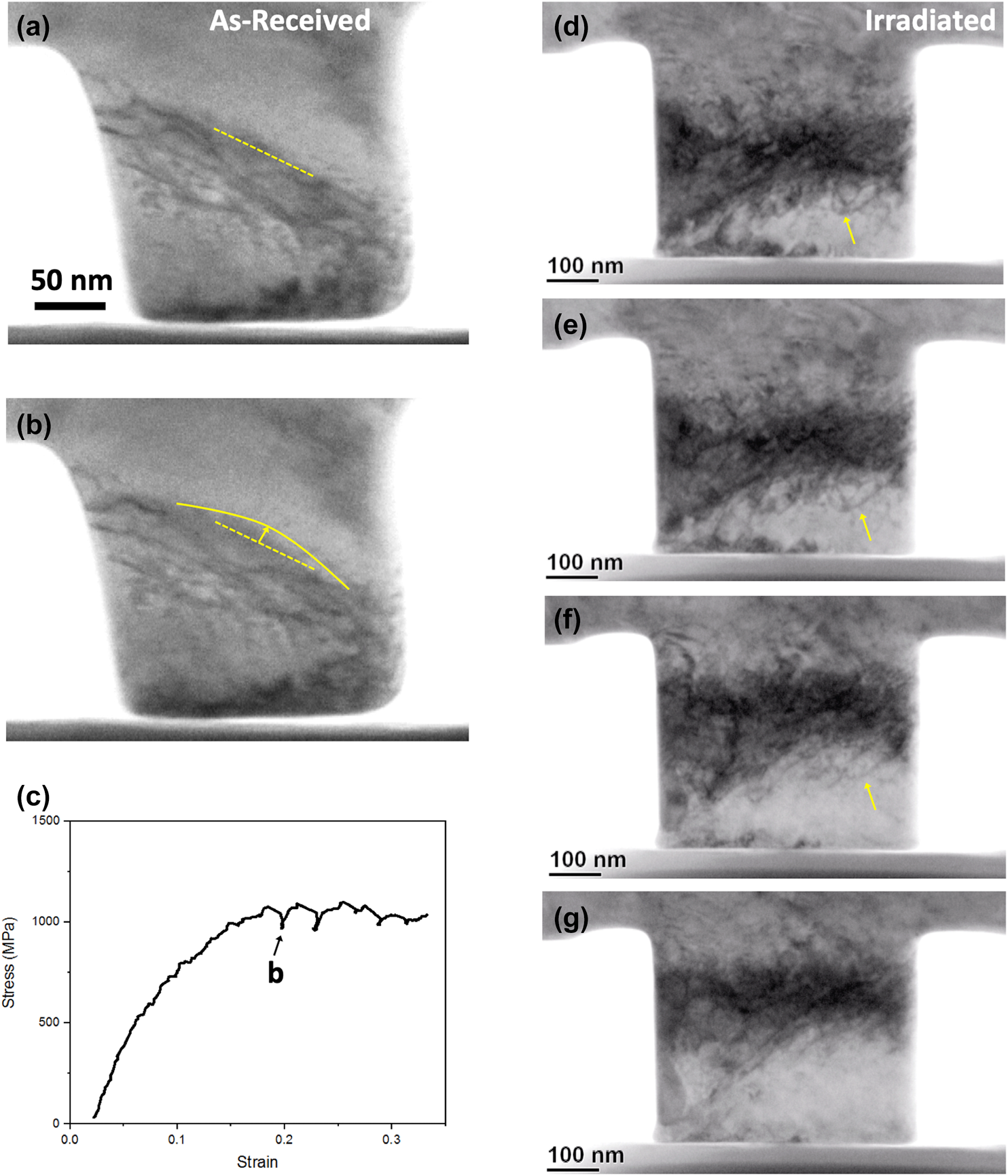 Understanding plasticity in irradiated alloys through TEM in situ ...