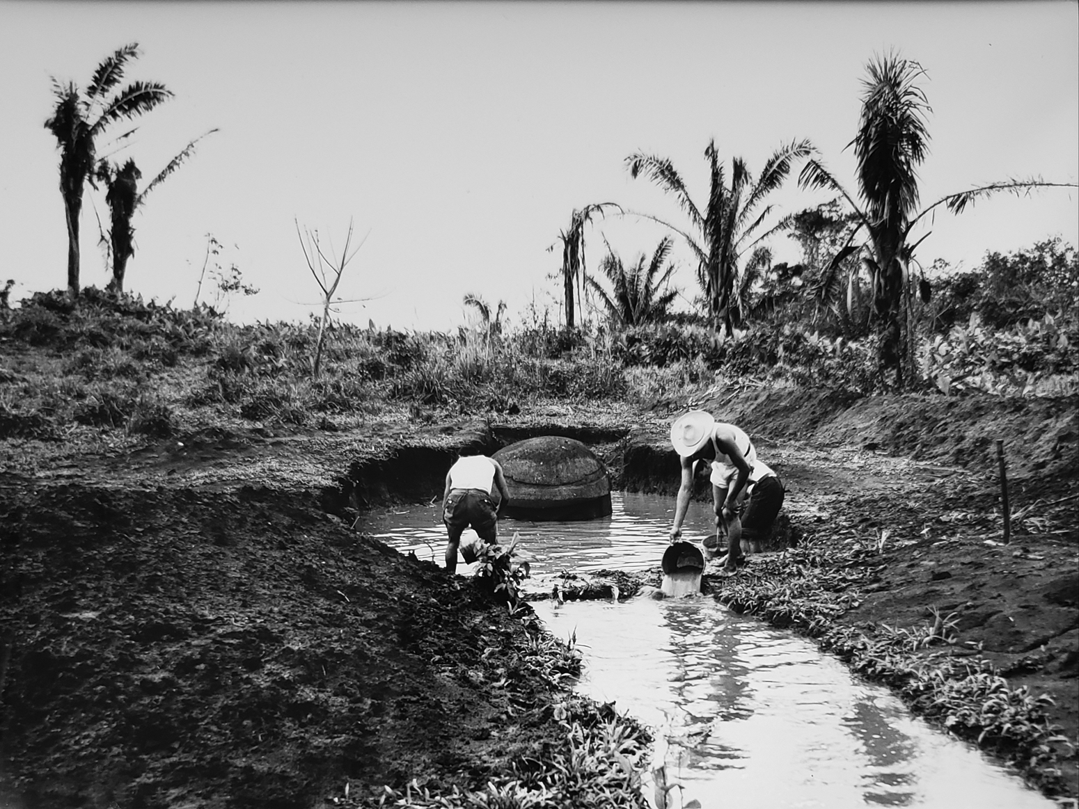 The Environs of Tres Zapotes as the Find-Spot of the Tuxtla Statuette ...