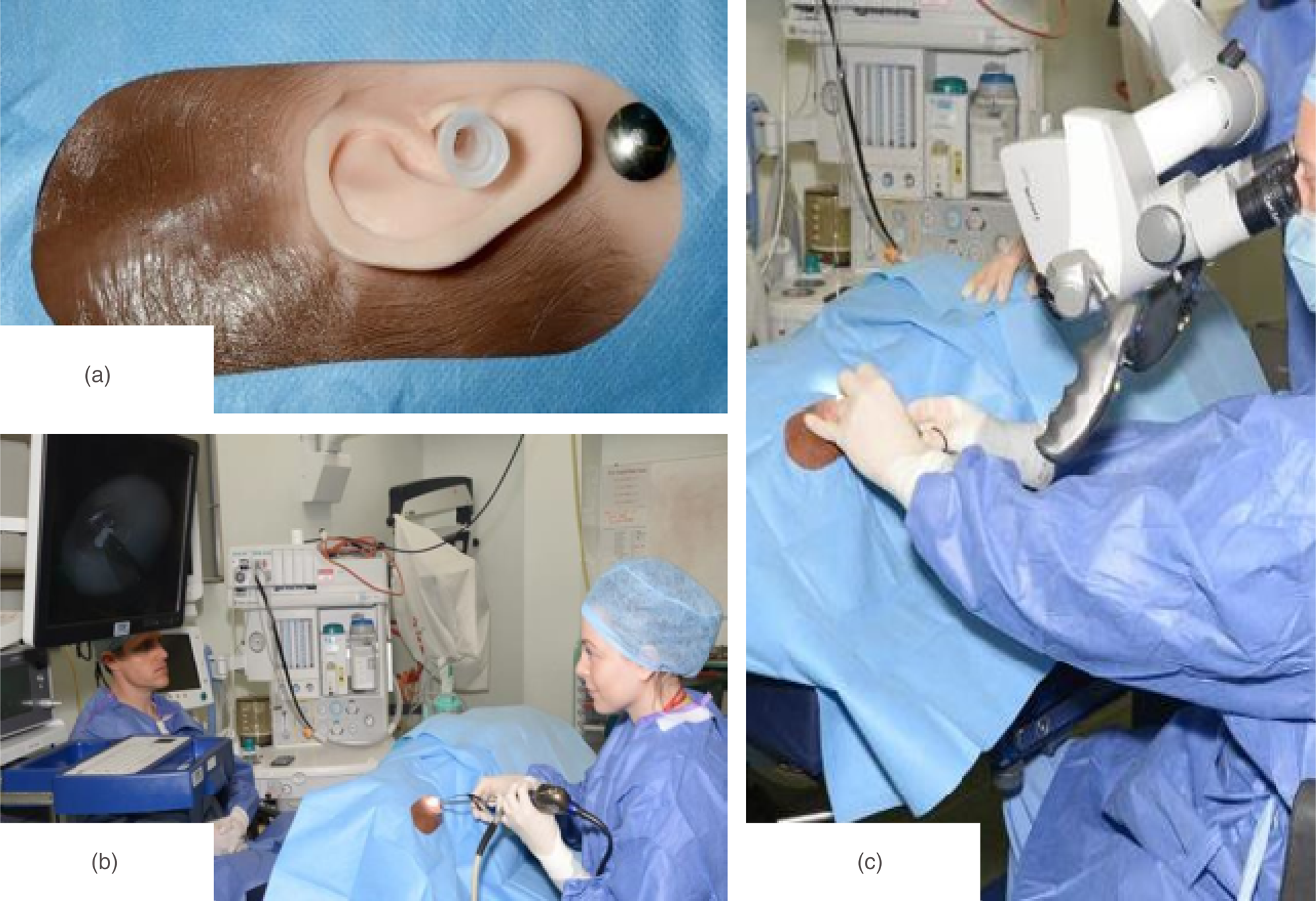 Investigating the learning curve in endoscopic compared to microscopic ...