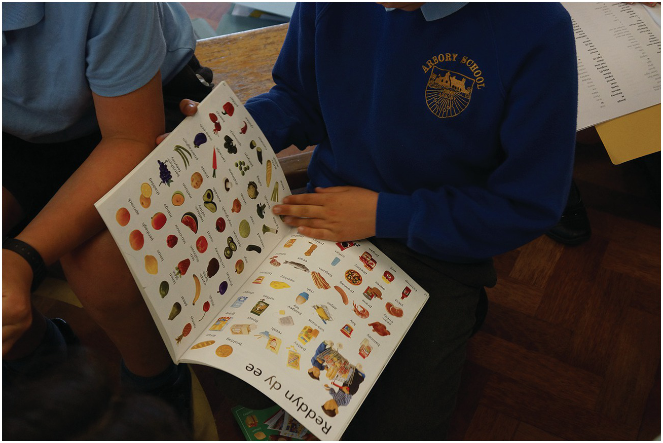 Teaching Strategies for Language Revitalization and Maintenance ...