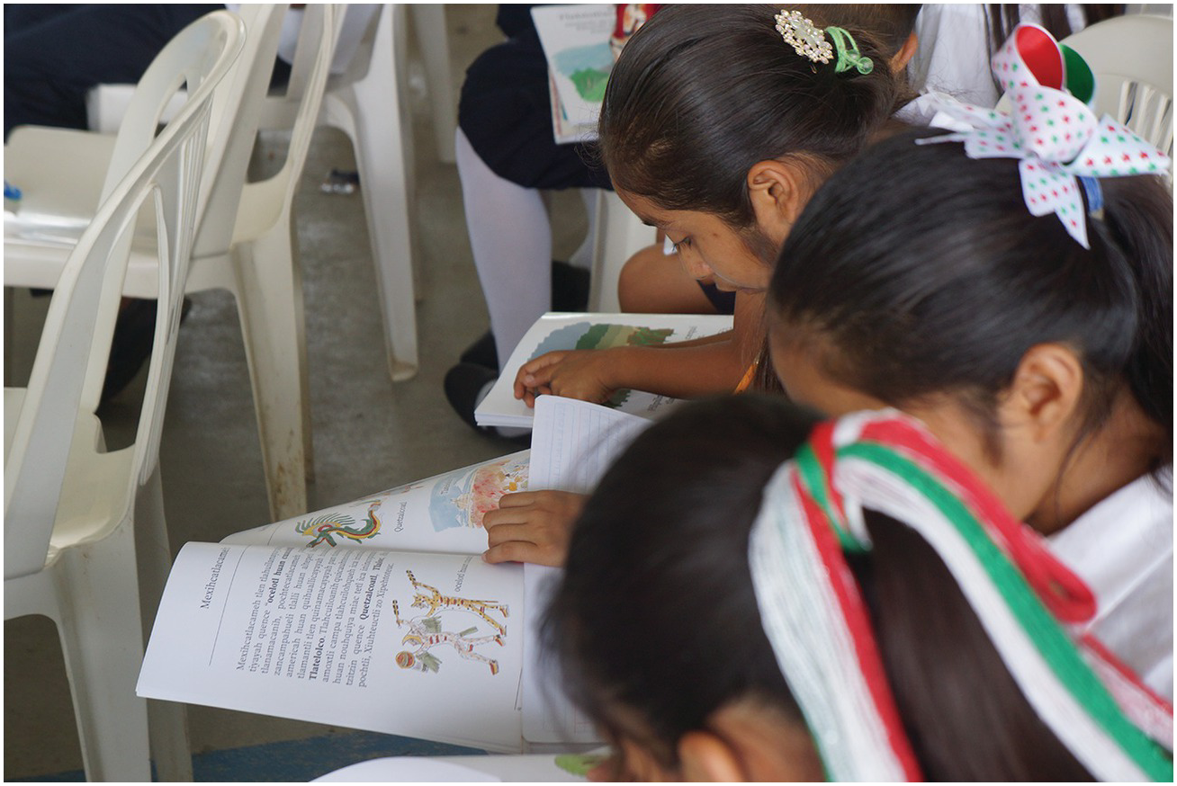 Teaching Strategies for Language Revitalization and Maintenance ...