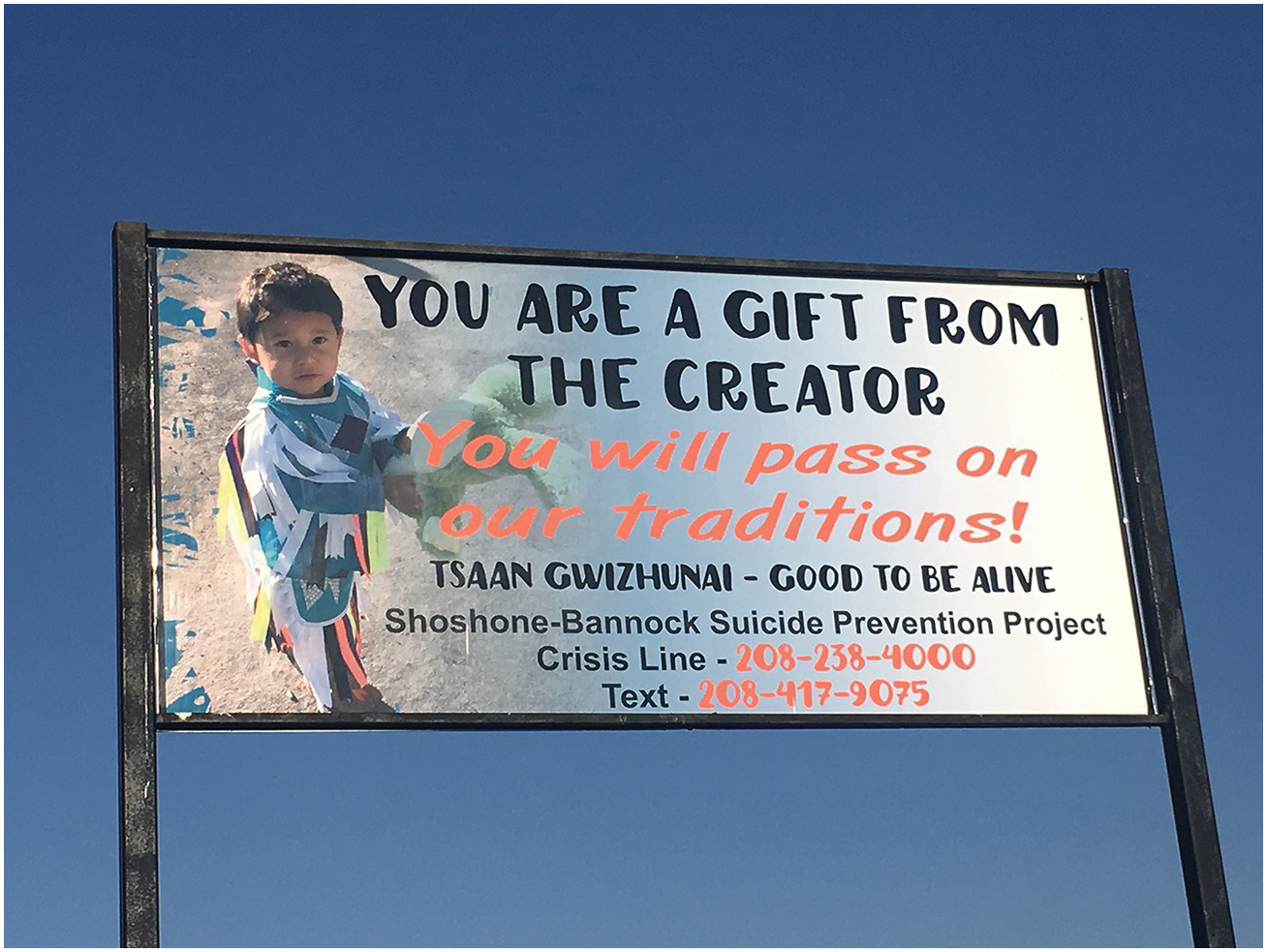 Why Revitalize? (Chapter 1) - Revitalizing Endangered Languages