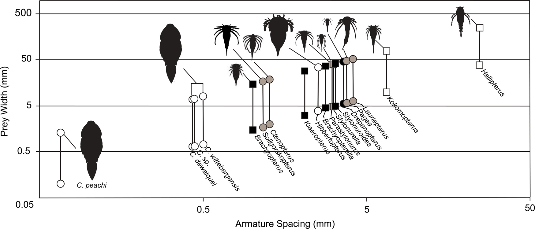 Discerning the diets of sweep-feeding eurypterids: assessing the ...