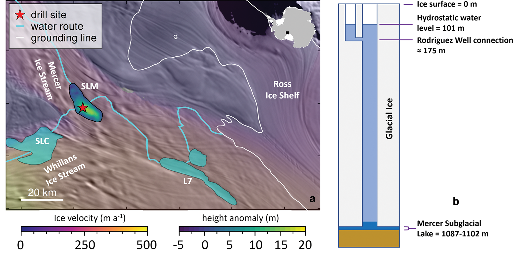 Scientific access into Mercer Subglacial Lake: scientific objectives ...