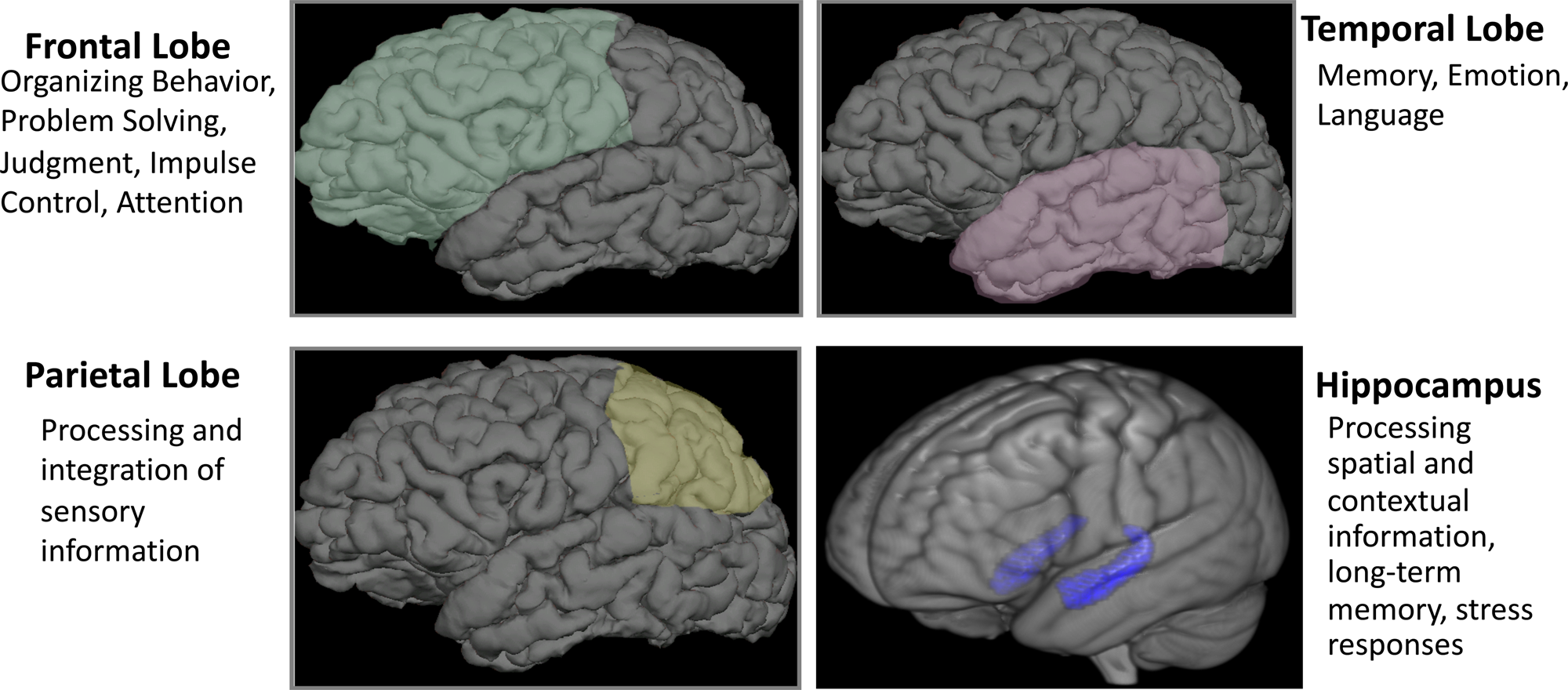 How developmental neuroscience can help address the problem of child ...